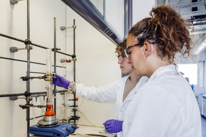 Master biomedical engineering | Centrale Méditerranée